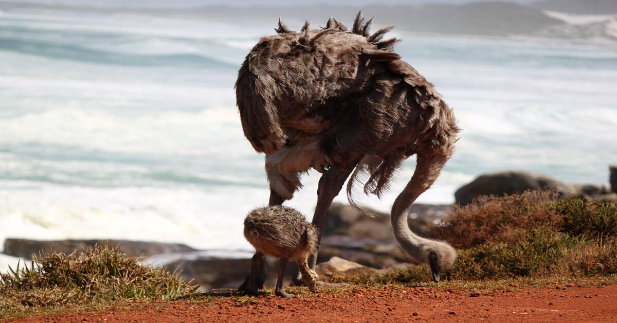 Bring Your Truth to Each Moment - The Night's Light