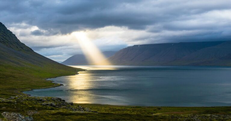 Align Your Inner Self with Your Projection - The Night's Light